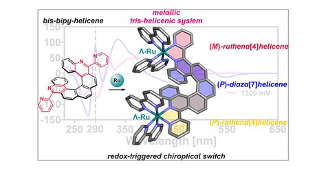 Enantioenriched Ruthenium Tris Bipyridine Complexes Bearing One Helical
