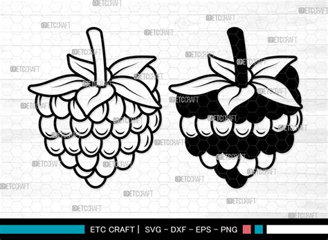 Raspberry Svg Raspberry Silhouette Graphic By Pixel Elites · Creative