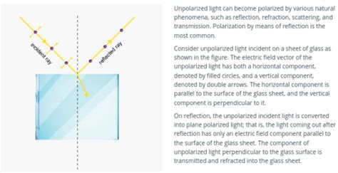 Unit 2 Lesson 6 Polarization Of Light Flashcards Quizlet