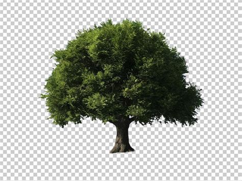 Tree 3d Rendering Premium Ai Generated Psd