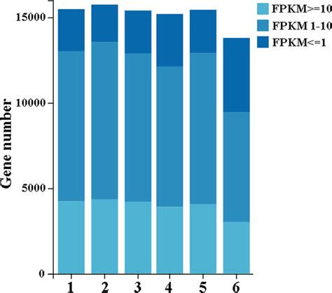 Fragments Per Kilobase Of Transcript Per Million Mapped Reads FPKM Download Scientific