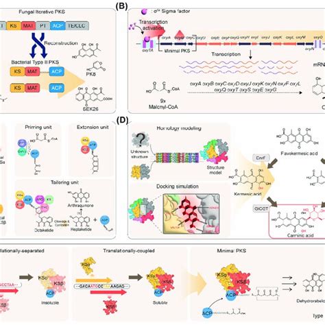 Metabolic Engineering Strategies For The Production Of Aromatic Download Scientific Diagram