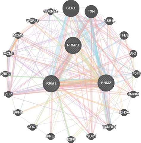 Mutation Patterns And Coexpression Analyses Of Rr Subunits A Summary Download Scientific