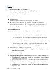 Lab Report Microscope Doc BioLab Microscope And The Cell Lab Report Name Date Course And
