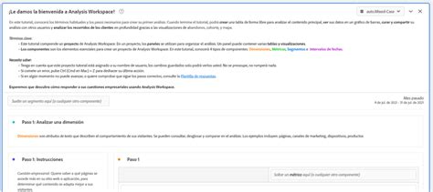 Información General De Analysis Workspace Adobe Analytics