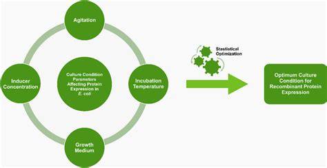 overview of culture condition parameters affecting recombinant protein