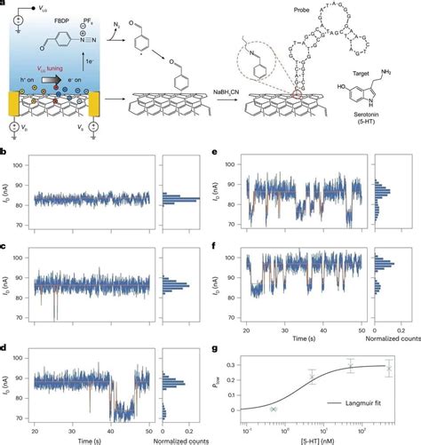 New Carbon Nanotube Transistor Enhances Sensitivity And Resolution Of Molecule Glasses