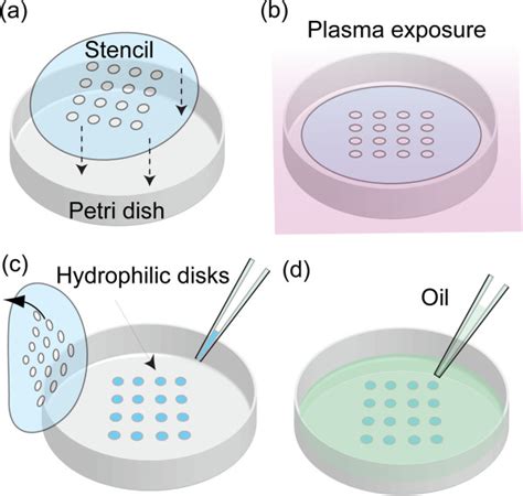 Scheme Of Microbe Observation And Cultivation Array Moca Droplet Scheme Of Microbe Observation And Cultivation Array Moca Droplet