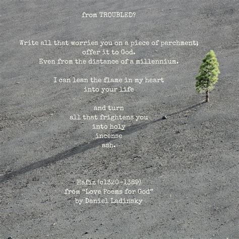 Consciousnessshift Bill Protzmann He Him We Us