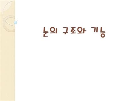 눈의구조와 기능