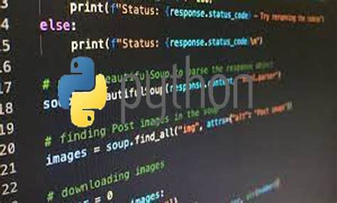 Your Python Tasks And Python Projects By Gaellopez Fiverr