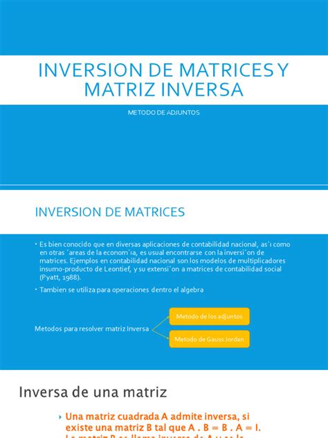 Tema Inversion De Matrices Y Matriz Inversa Pdf