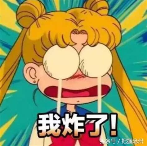 滄州這幾家飯店關門停業，美女店主「犯傻」 每日頭條