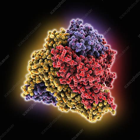 Ghanaian Virus Fusion Glycoprotein Molecular Model Stock Image C059 8123 Science Photo