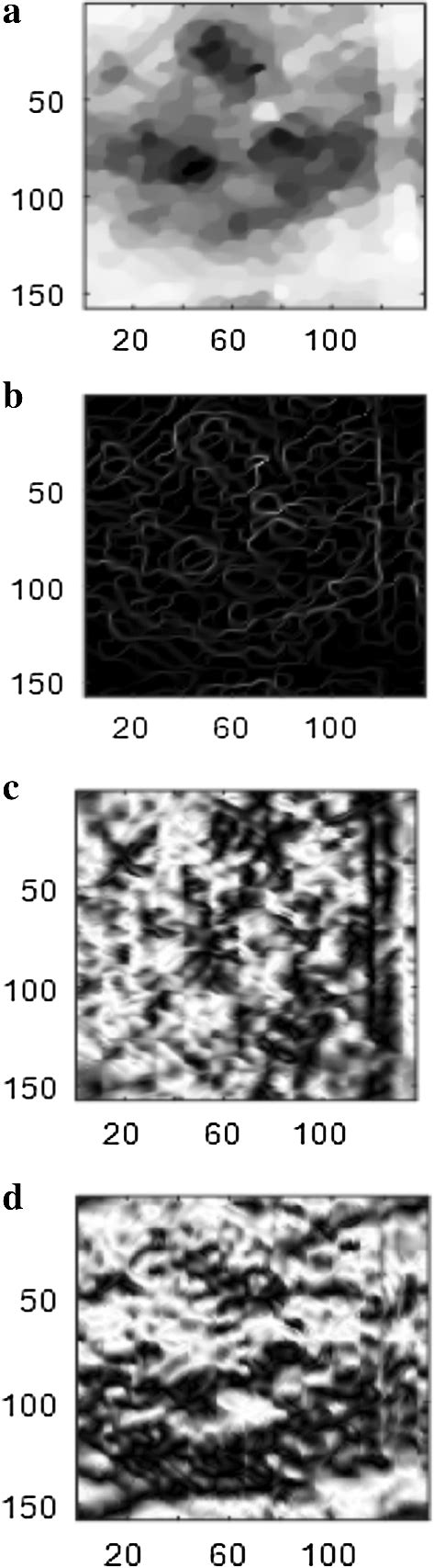 Psf Estimation Of Subsequent Iterations Download Scientific Diagram