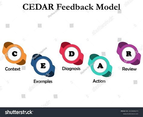 Cedar Feedback Model Context Examples Diagnosis Stock Vector Royalty