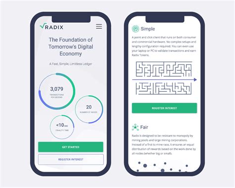 Case Study Website Design RADIX