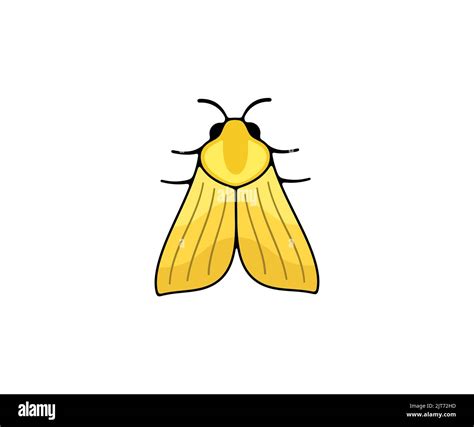 Yellow Nocturnal Moth Butterfly And Moth Logo Design Flying Insects