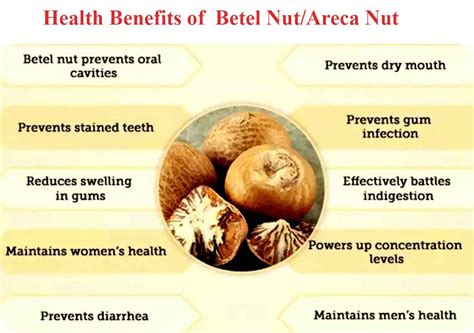 Areca Nut Effects
