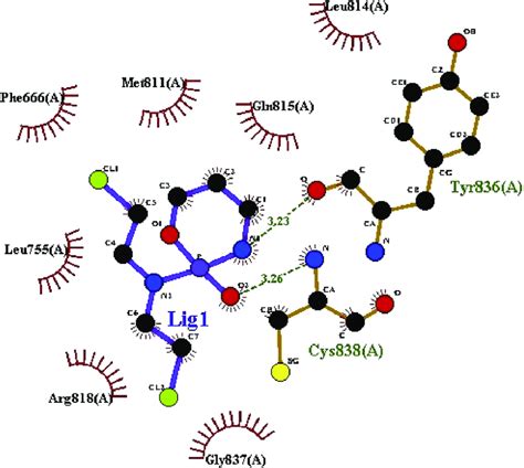 The Ligplot Showing Intermolecular Interaction Of Cyc Molecule In The Download Scientific