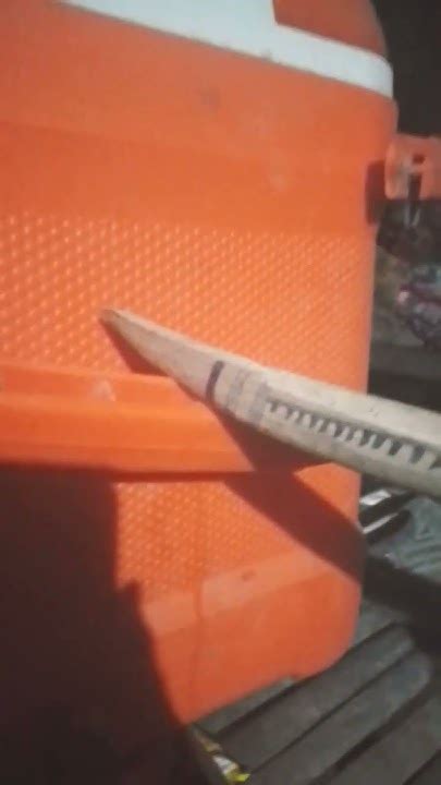 11 កុម្ភៈ 2025 Youtube