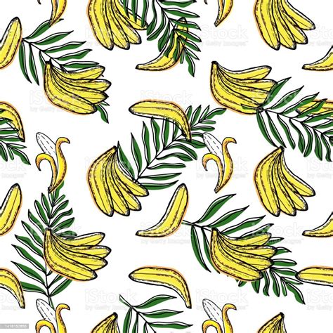 바나나와 열대 잎의 매끄러운 패턴 스케치 스타일로 손으로 그린 낙서 요소 전체 바나나와 열기 야자수 잎 여름 과일의 이미지 0명에 대한 스톡 벡터 아트 및 기타 이미지