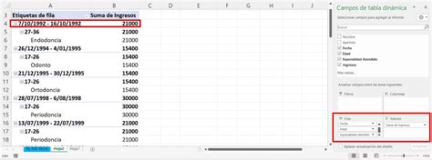 Agrupar filas y columnas en tablas dinámicas