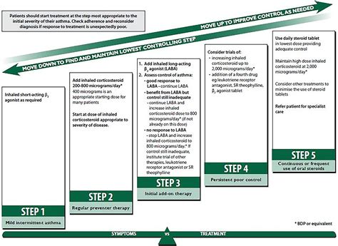 Asthma Treatment Ladder Nice Cks At Richard Groves Blog