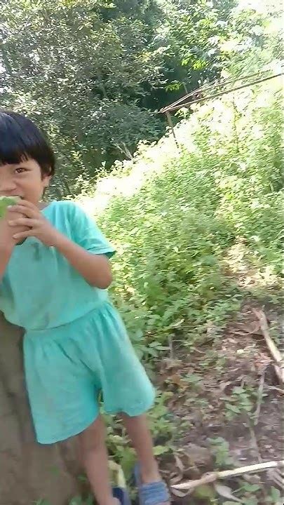 Eeating Cucumber Shortsvideo Youtube