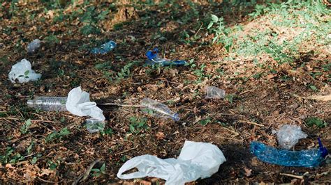 Todd Myers On The Best Approach To Environmental Stewardship Koa 850 Am And 941 Fm