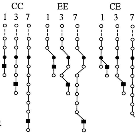 Schematic Representation Of The Stimulus Sequence In Each Condition At Download Scientific
