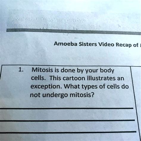 Amoeba Sisters Video Recap Of 1 Mitosis Is Done By Your Body Cells This Cartoon Illustrates An