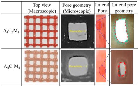 Qualitative Test Of Lateral Pore Download Scientific Diagram