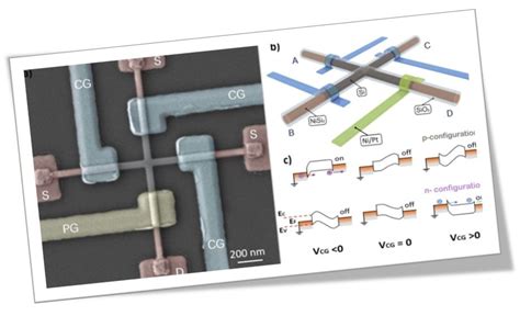 Thomas Mikolajick On Linkedin Cross Shape Reconfigurable Field Effect Transistor For Flexible