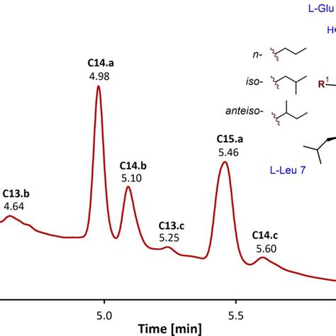 Single Dual Mode Top And Double Dual Mode Bottom Of Cpc Procedures Download Scientific