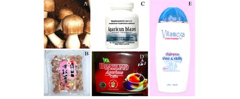 Products From Agaricus Subrufescens A Fresh Mushroom Download