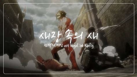 진격의 거인 Ost 새장 속의 새 Vogel Im Kafig 가사 Youtube