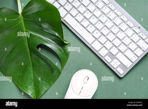 Computer Keyboard With Mouse And Palm Leaf On Green Background Stock