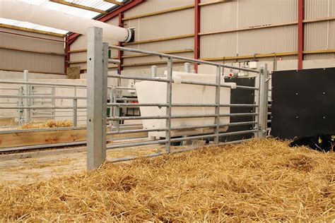 3 In 1 Calving Gate Teemore Engineering Livestock Housing Specialists