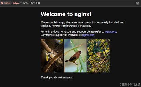 使用nginx搭建通用的图片代理服务器,支持重定向式图片地址nginx 代理图片 Csdn博客 使用nginx搭建通用的图片代理服务器,支持重定向式图片地址nginx 代理图片 Csdn博客