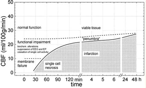 Ischemic Penumbra Stroke Manual