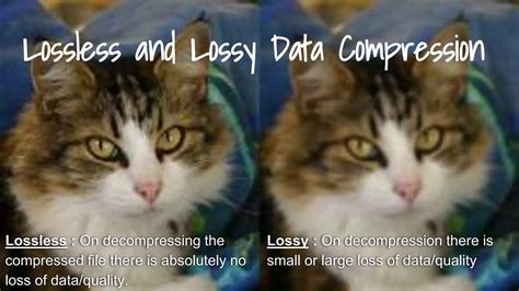 Data Compression Algorithms Pptx