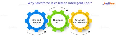 Salesforce Future And Industry Trends In 2025 Intellipaat