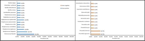 Prevalence Of Gram Positive And Gram Negative Species Download