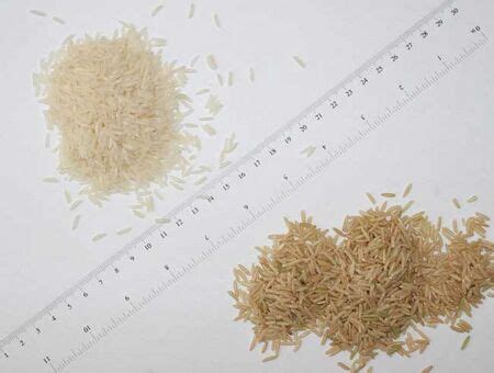 Basmati Rice Cooking Wiki