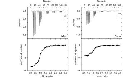 Calorimetric Titration Isotherms Of The Binding Interaction Between Cu Download Scientific