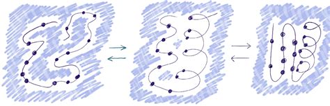 Figure 121 From Introduction To Protein Folding Semantic Scholar