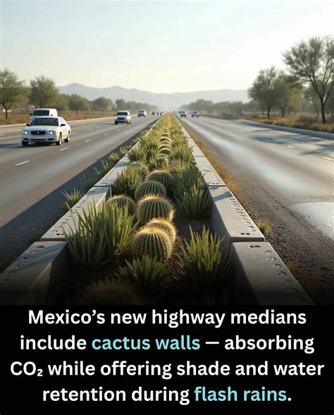Factify In Mexico Highways Are No Longer Just Corridors For Cars