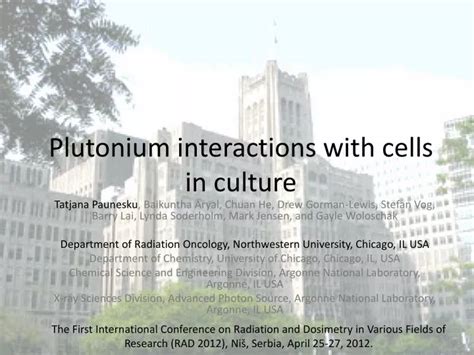 PPT Plutonium Interactions With Cells In Culture PowerPoint Presentation ID 1931239