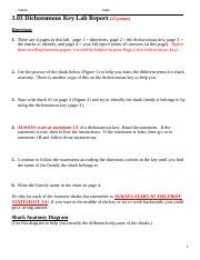 Dichotomous Key Lab Report Shark Identification Course Hero